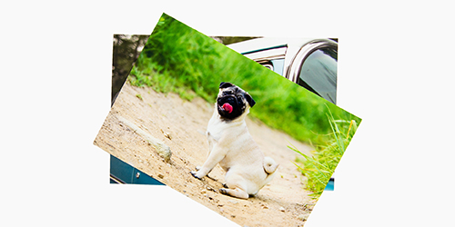 Wallet Photo Prints | Nations Photo Lab